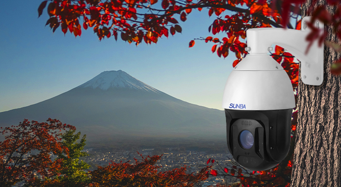 Home - Sunba Technology